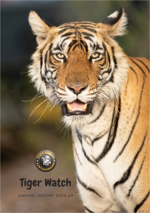Tiger Watch | Community-Based Tiger Conservation in Rajasthan